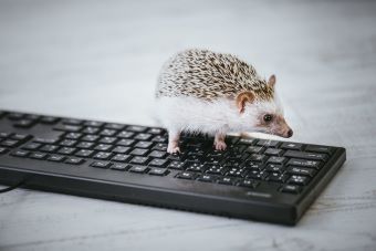 Boost Noteの導入方法と使い方をご紹介！ | Aprico