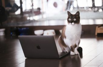 Windows11でExcelが開かない場合の対処法を紹介！ | Aprico